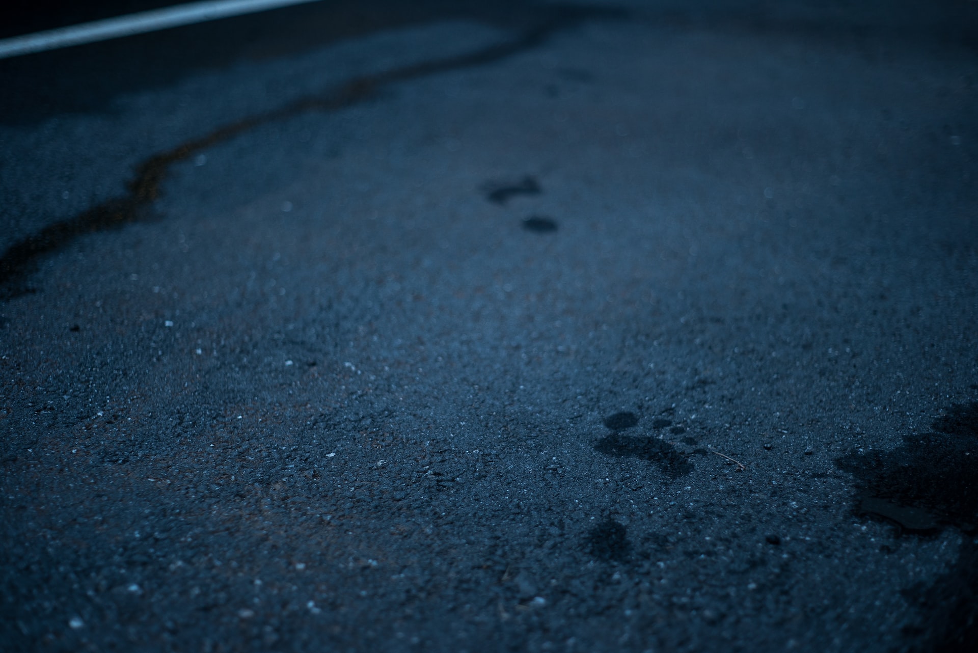 Asphalt 101: What Is It & What Are Its Different Uses?